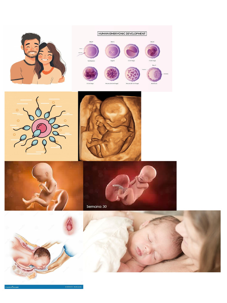imagenes desarrollo album | PDF