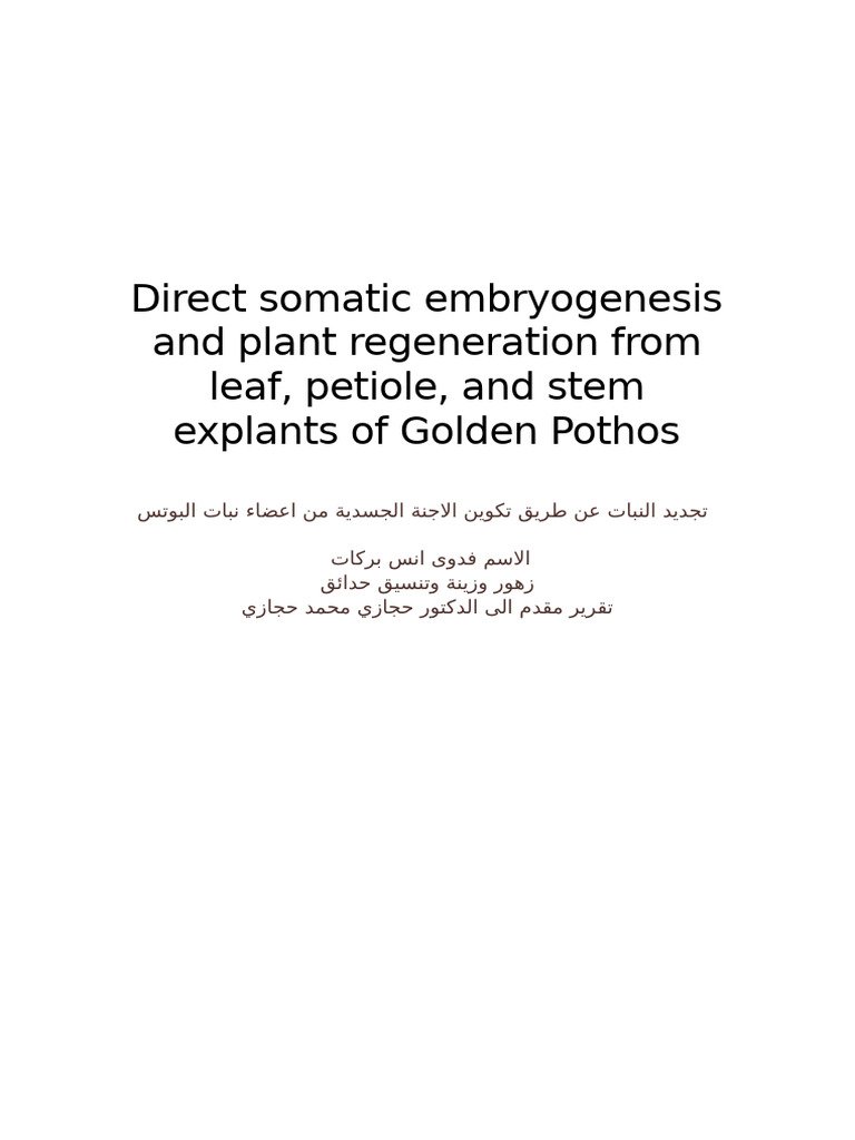 Direct Somatic Embryogenesis and Plant Regeneration From Leaf | PDF ...