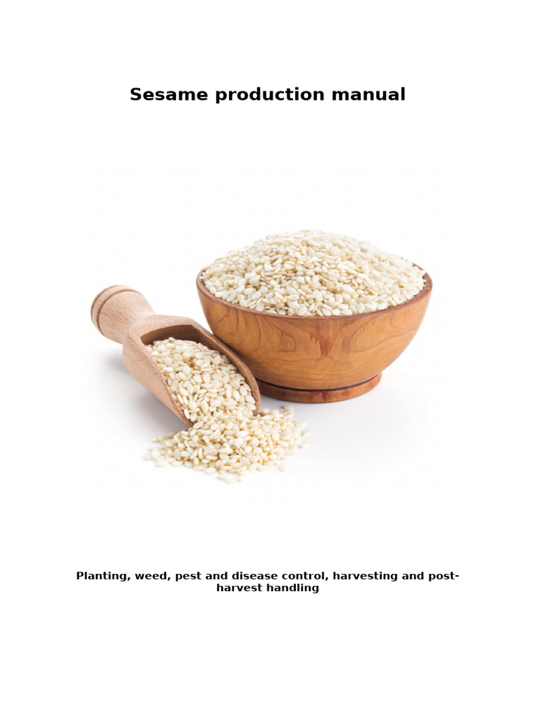 Sesame Production, Harvesting and Post-Harvesting Handling | PDF ...
