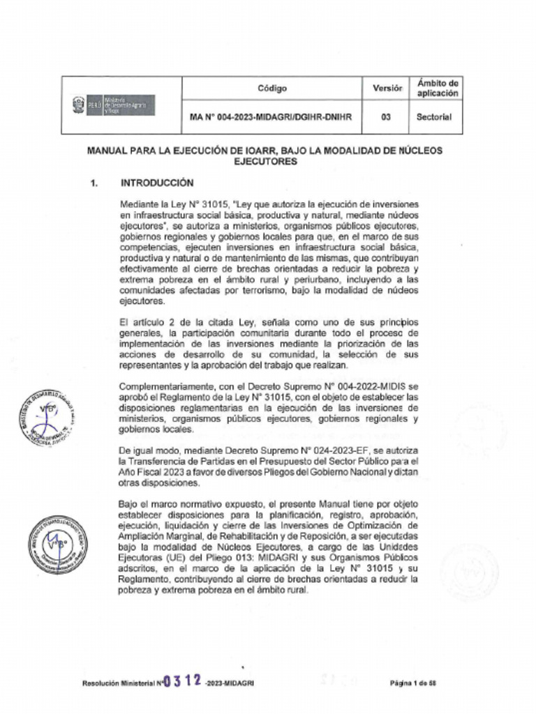 Manual para La Ejecucion de Ioarr Bajo La Modalidad de Nucleos ...