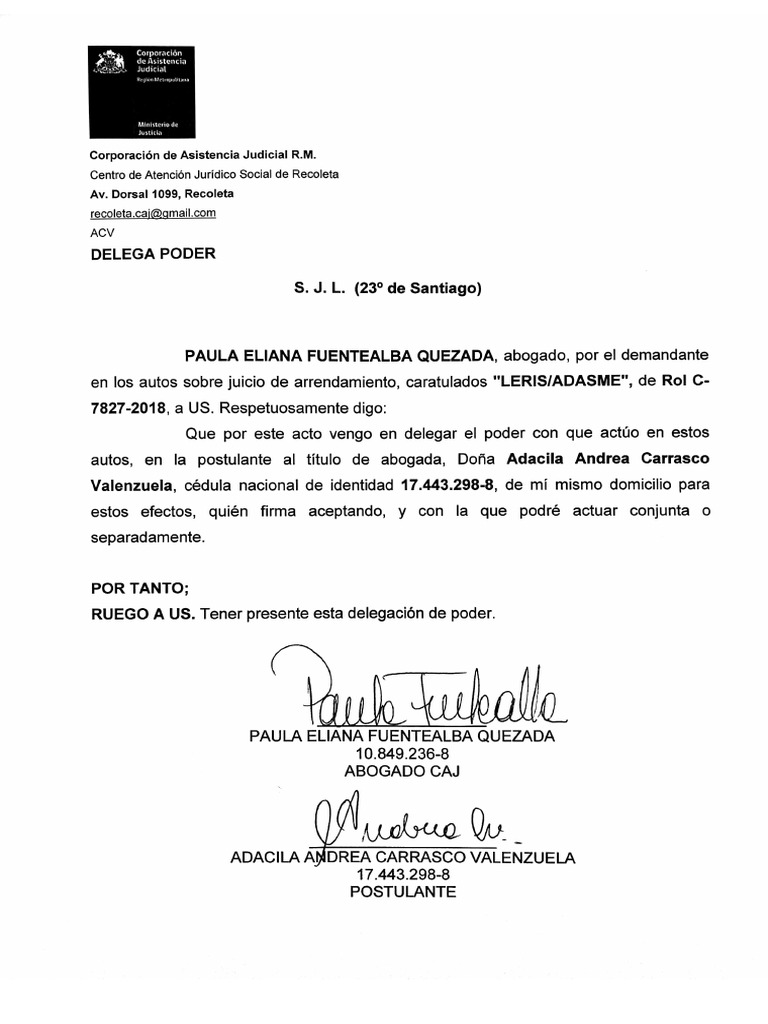 Delega Poder Leris | PDF