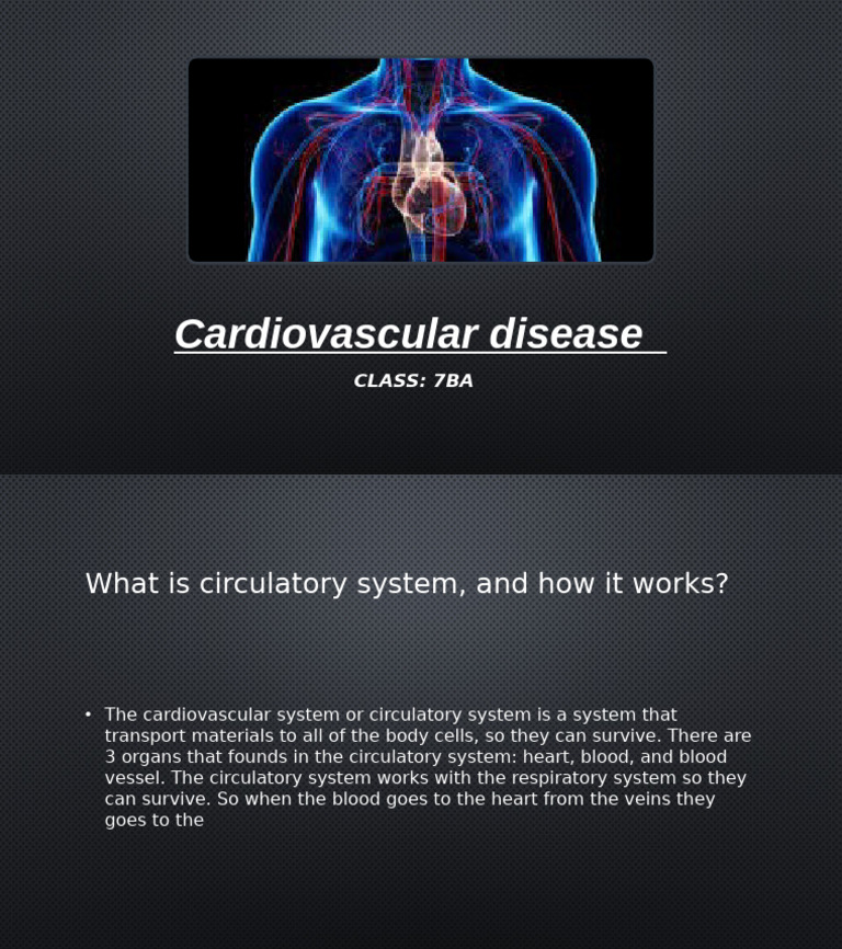 Circulatory System Basics for 7th Graders | PDF
