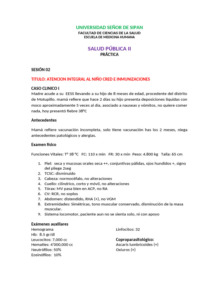 Caso I - SP2 | PDF