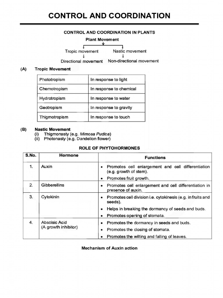 Control and Cordination | PDF