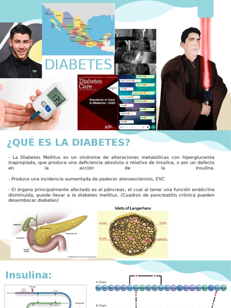 Diabetes Mellitus | PDF | Insulina | Diabetes