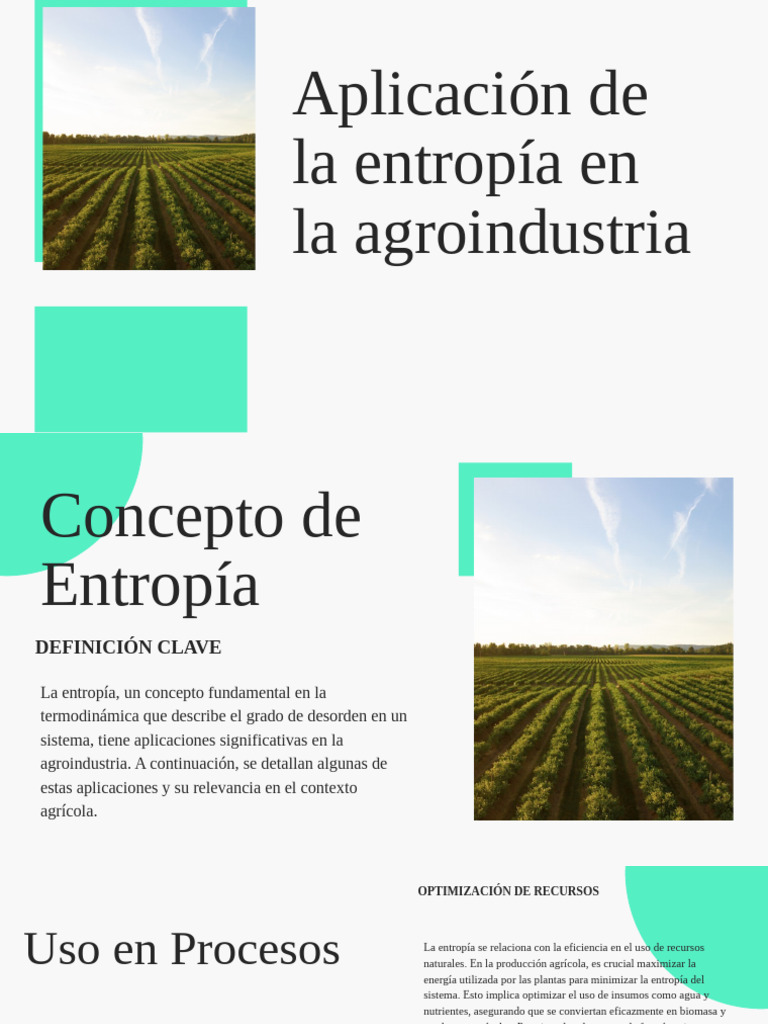 Aplicación de La Entropía en La Agroindustria | PDF | Agricultura | Riego