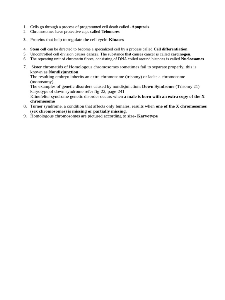 MS G10 US Term1 T-1 Final Exam Revision WS 24-25 | PDF