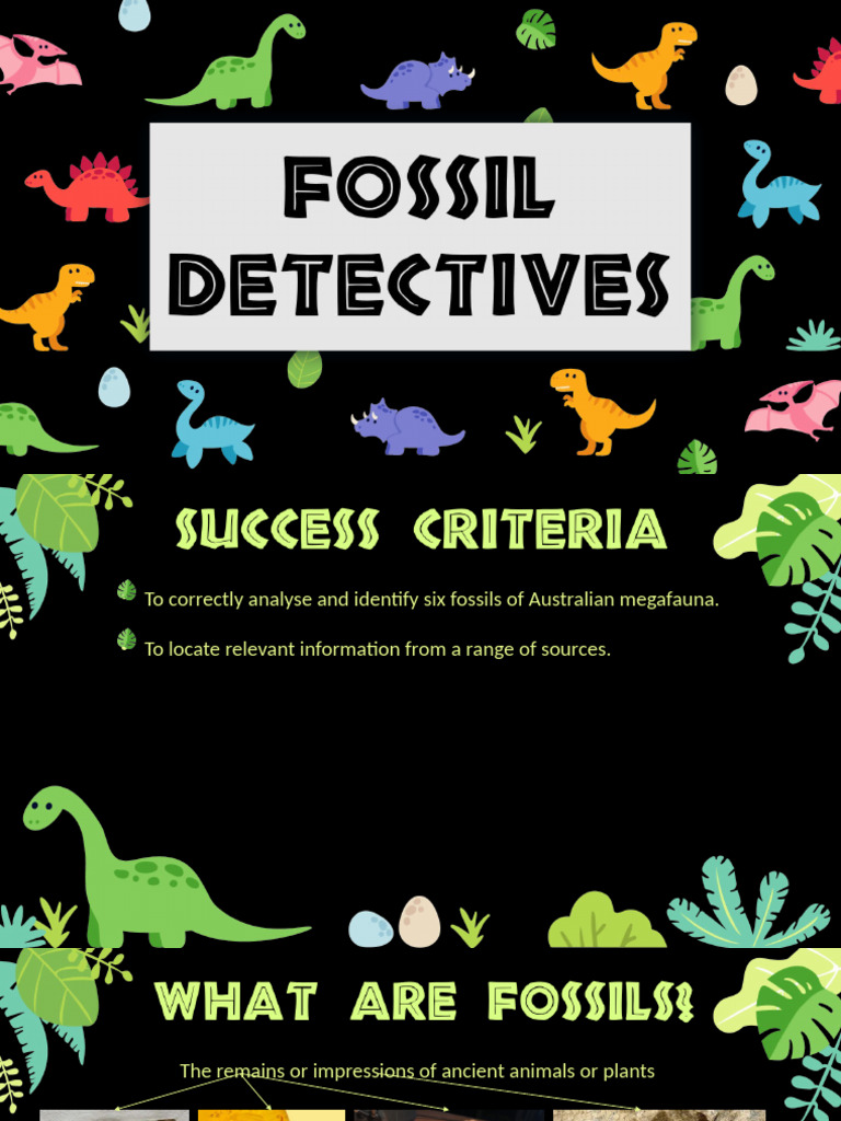 Identifying Australian Megafauna Fossils | PDF