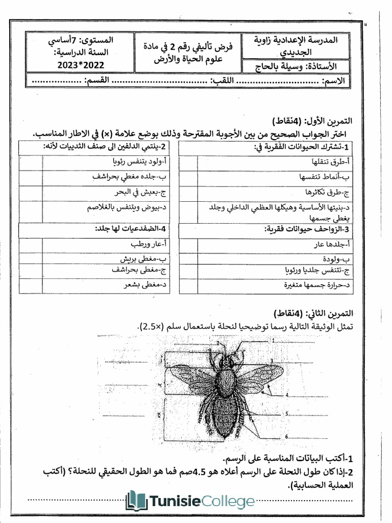 Devoir de Synthèse N°2 - SVT - 7 Ème (2022-2023) Mme Wassila Belhadj | PDF