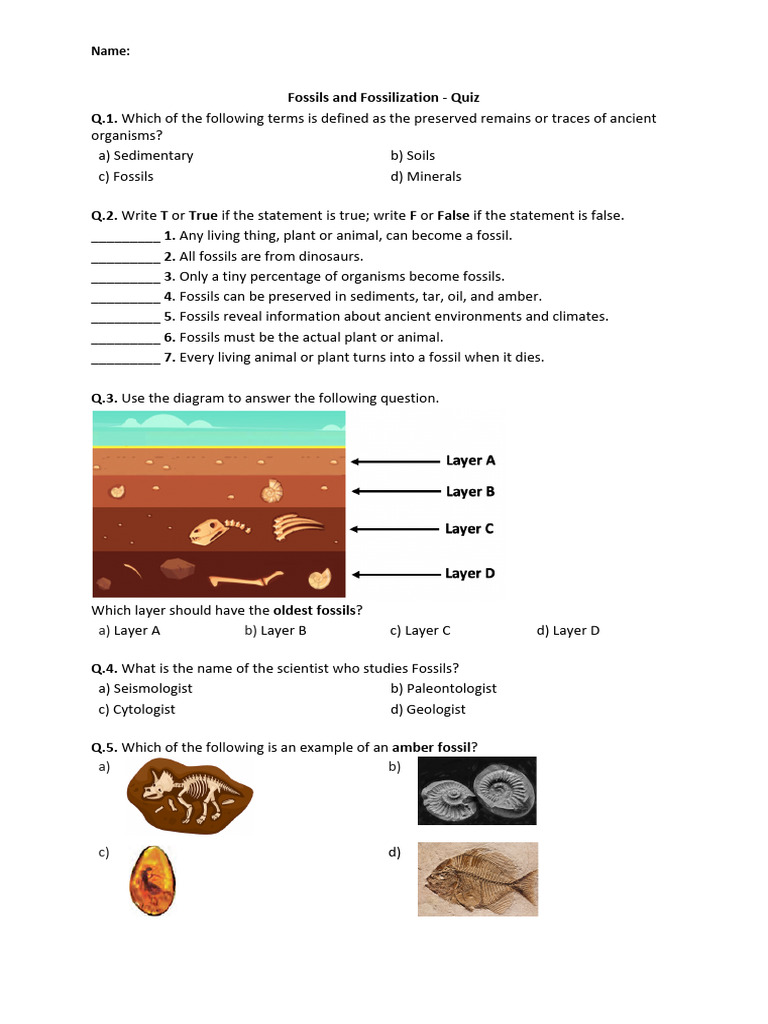 Fossils and Fossilization - Quiz Q.1.: Name | PDF | Fossil ...
