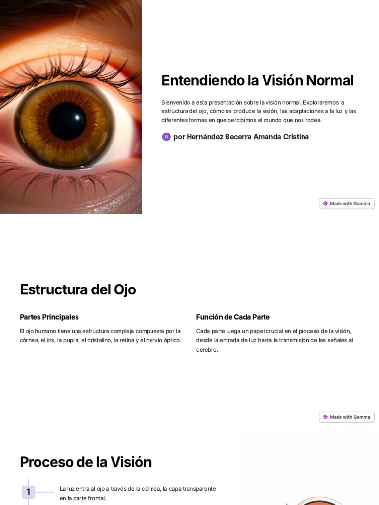 Entendiendo La Vision Normal | PDF | Percepción visual | Ojo