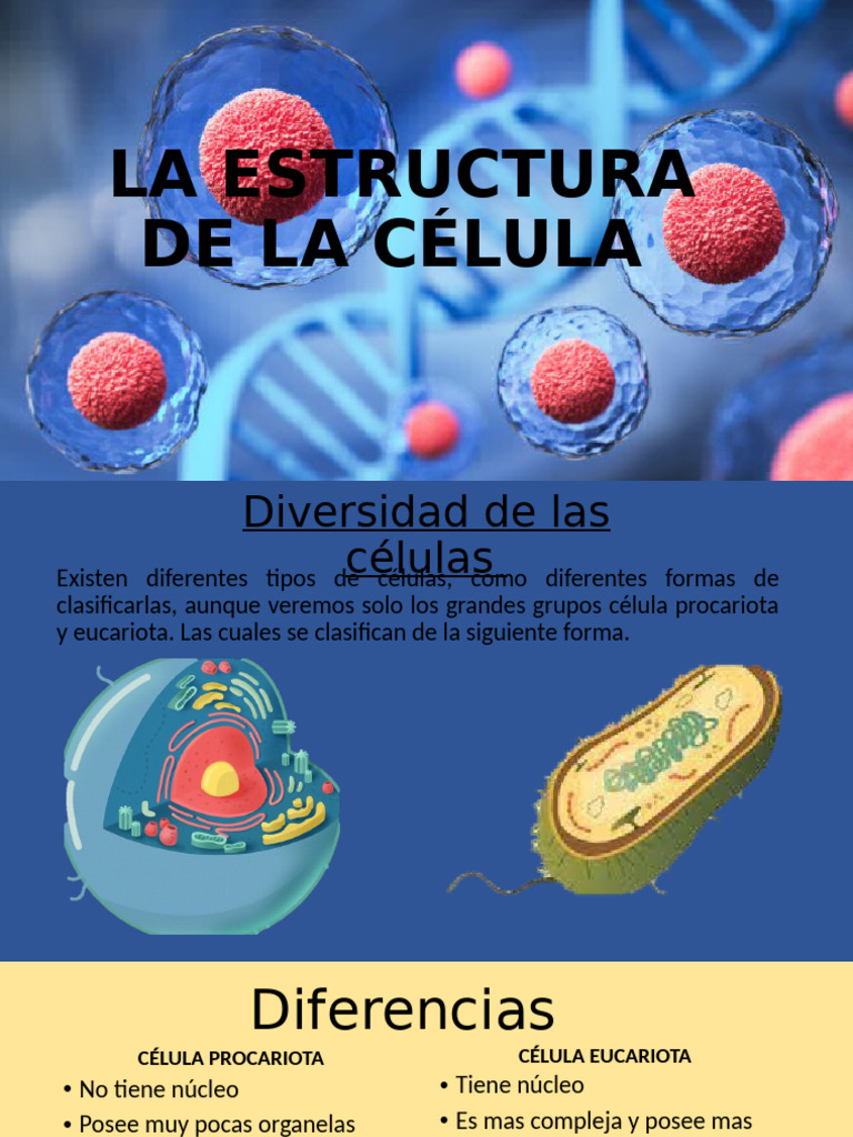 LA ESTRUCTURA DE LA CÉLULA (Presentación) | PDF | Biología Celular ...
