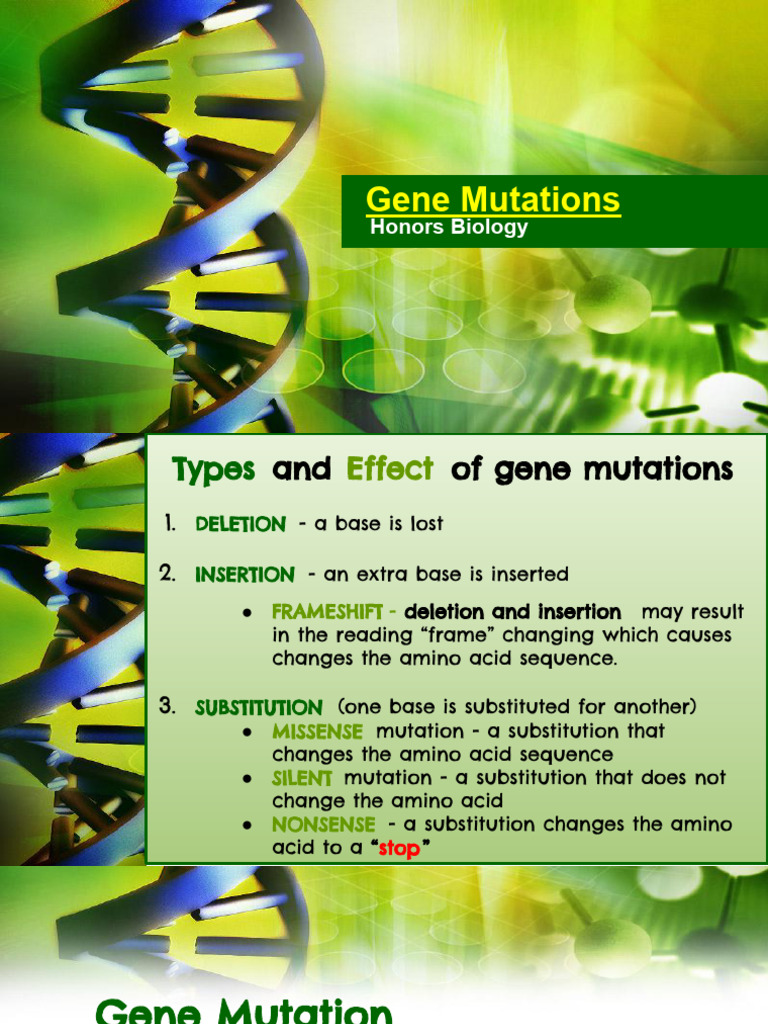 William Killian - Day 6 Gene Mutations Activity 2024-25 - 15112968 ...
