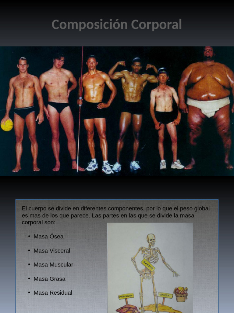 Composicion Corporal | PDF