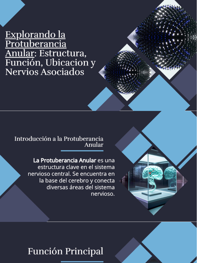 slidesgo-explorando-la-protuberancia-anular-estructura-funcion-y ...