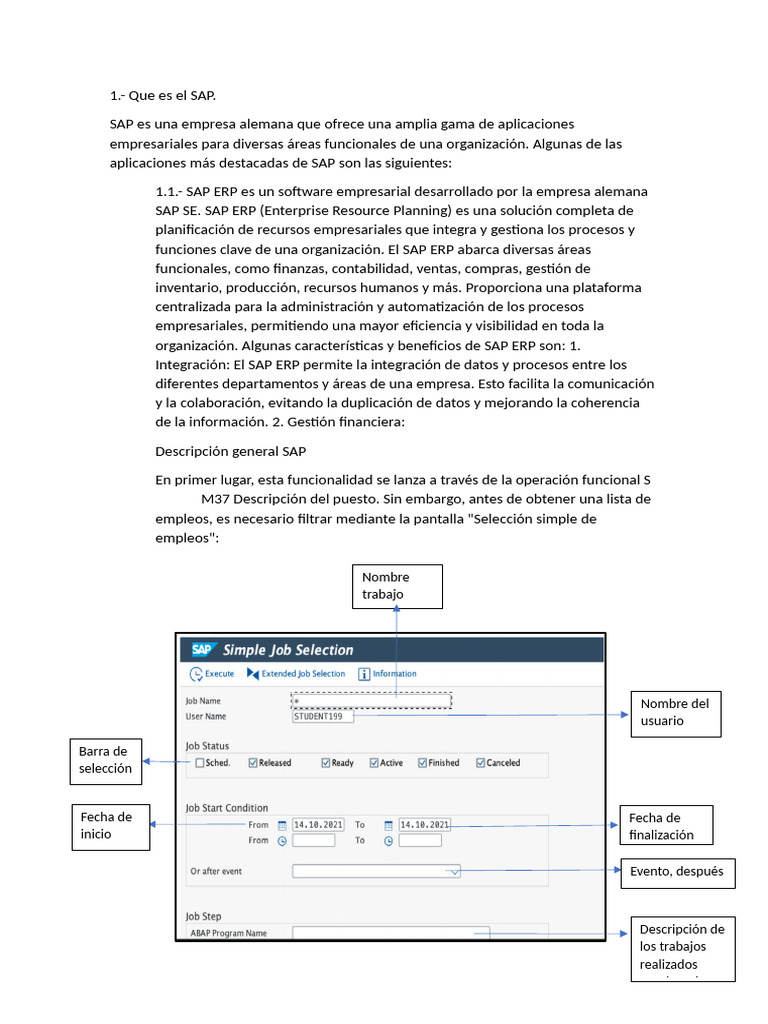 Que Es El SAP | PDF | Planificación de recursos empresariales | Business