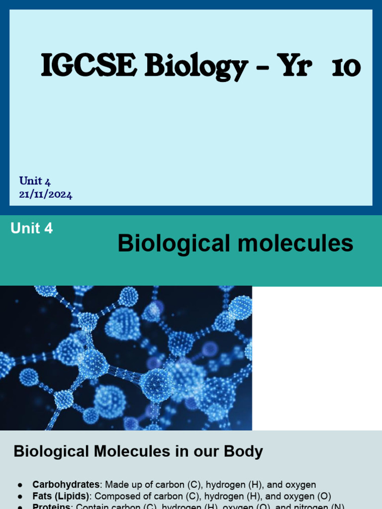 IGCSE Biology - 10 - Unit 4 | PDF | Carbohydrates | Glucose