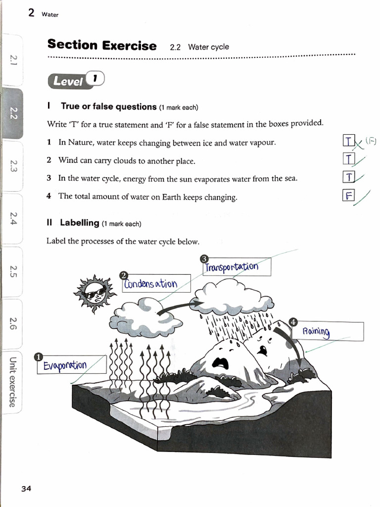 Water Cycle Exercise and Questions | PDF | Water Cycle | Nature