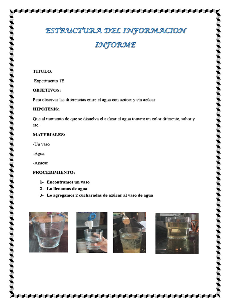 Estructura Del Infome | PDF