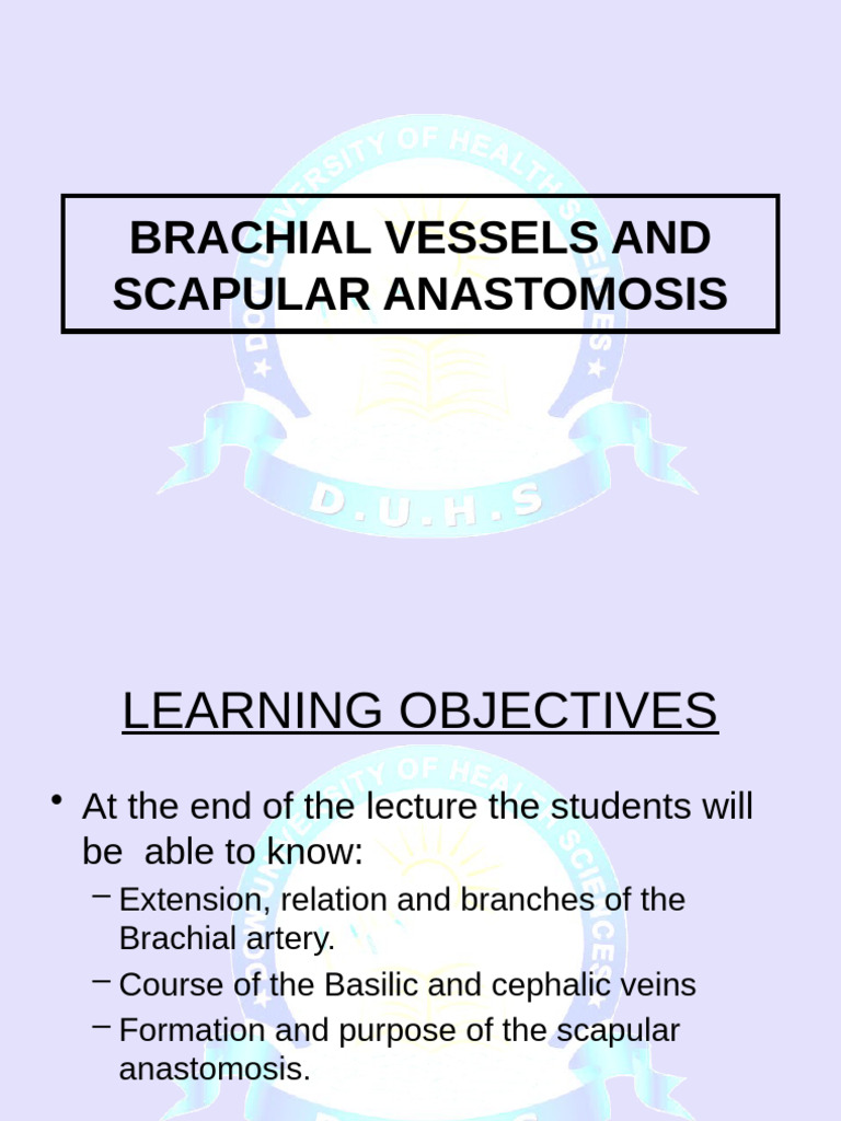 GROSS Brachial Vessels and Scapular Anastomosis | PDF | Arm | Limbs ...