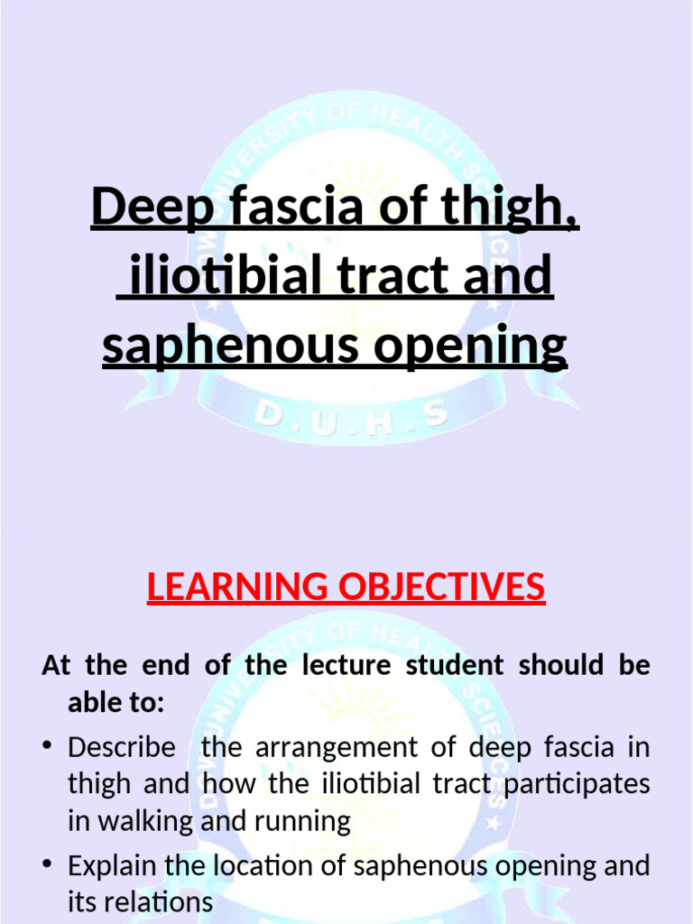 Anatomy-6 - Deep Fascia of Thigh | PDF | Knee | Human Leg