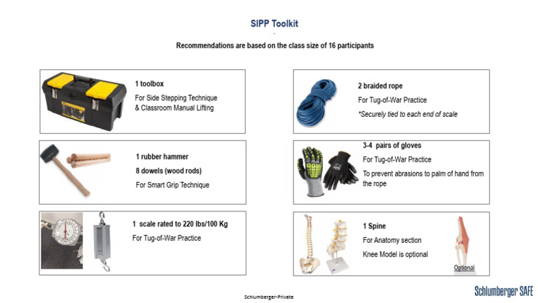 SIPP Toolkit | PDF