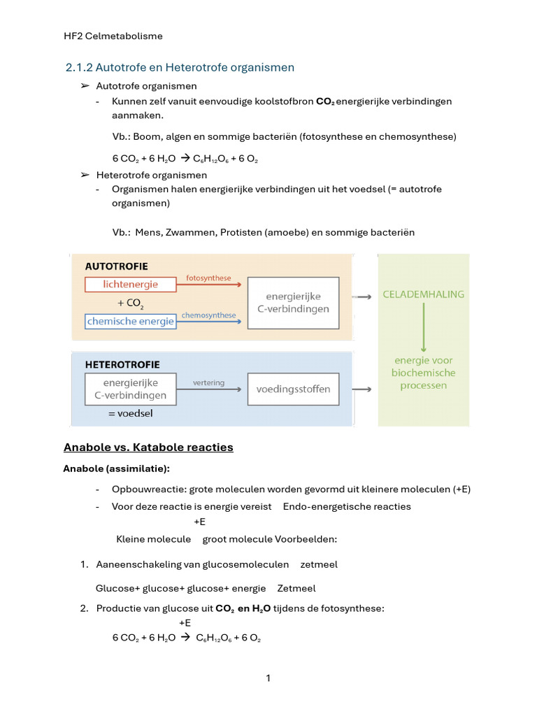 Bio Hf2 Celmetabolisme-2 | PDF