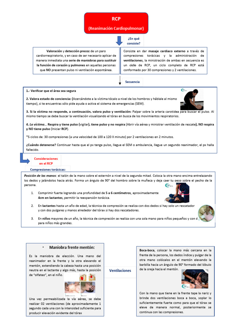 RCP3 | PDF | Reanimación cardiopulmonar | Sistema cardiovascular