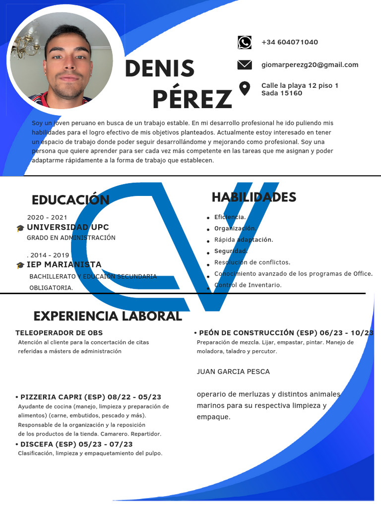CV Denis Pérez | PDF