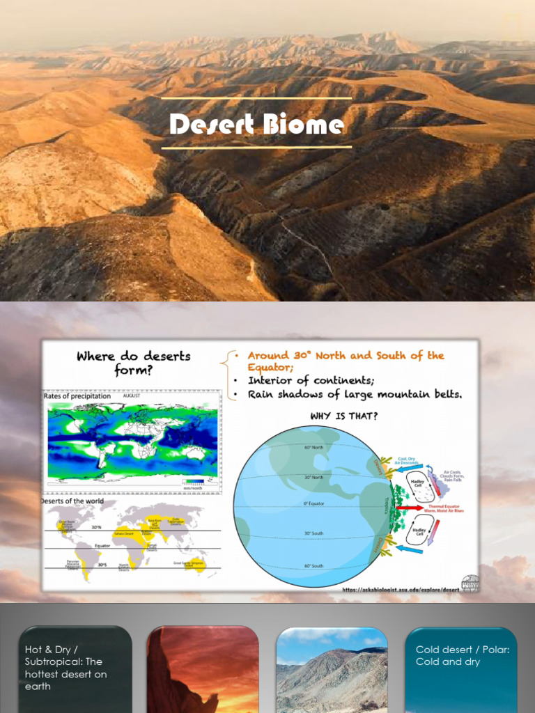 GA1-Desert Biome | PDF | Desert | Precipitation