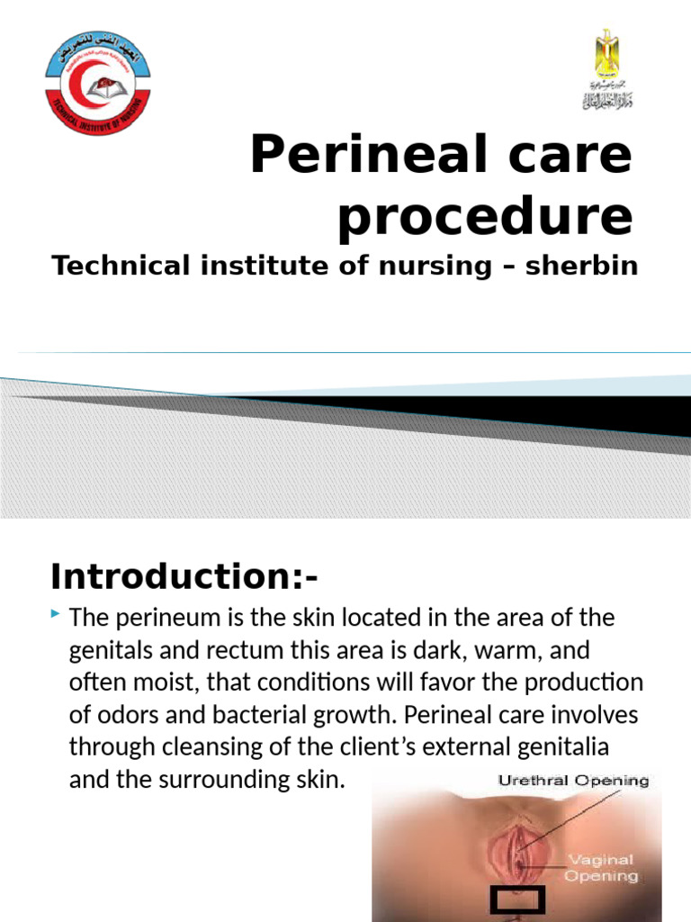 Perineal Care Procedure Guide | PDF | Medical Specialties