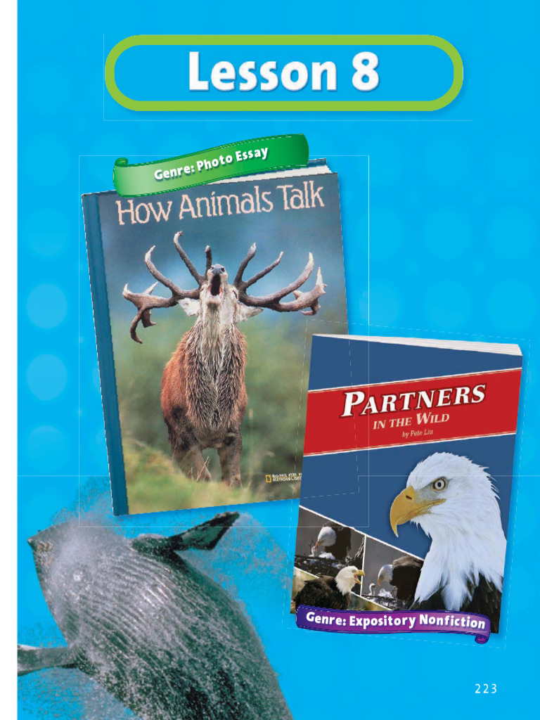 Lesson8 How Animals Talk | PDF | Whales | Spider