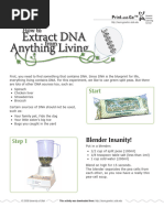 Extraction of DNA onions | PDF | Cell (Biology) | Cell Nucleus