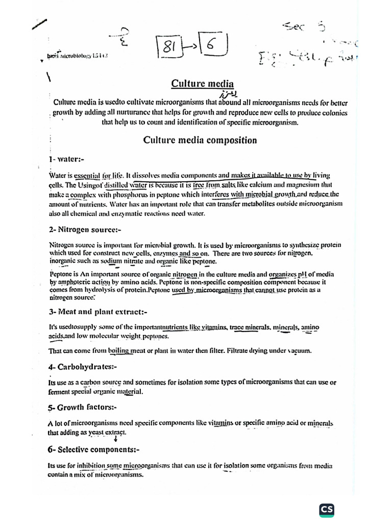 4th Section | PDF