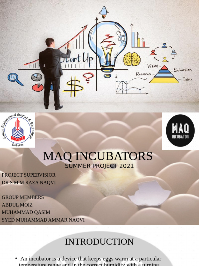 Fyp Presentation Bba | PDF | Private Sector | Market (Economics)