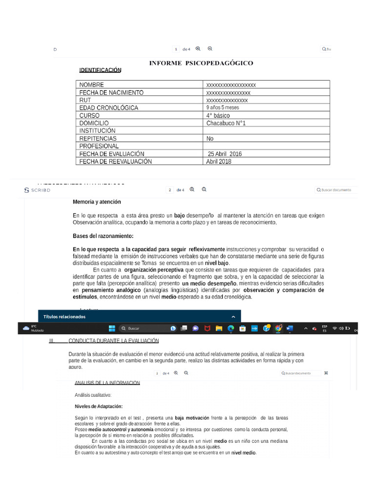 ejemplos de informes | PDF