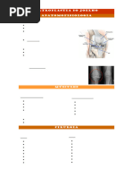 Protocolo Lca | PDF | Joelho | Membros (anatomia)
