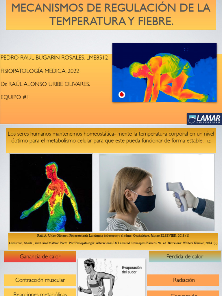 Pedro Bugarin 3B Exposición. | PDF | Termorregulación | Fisiología