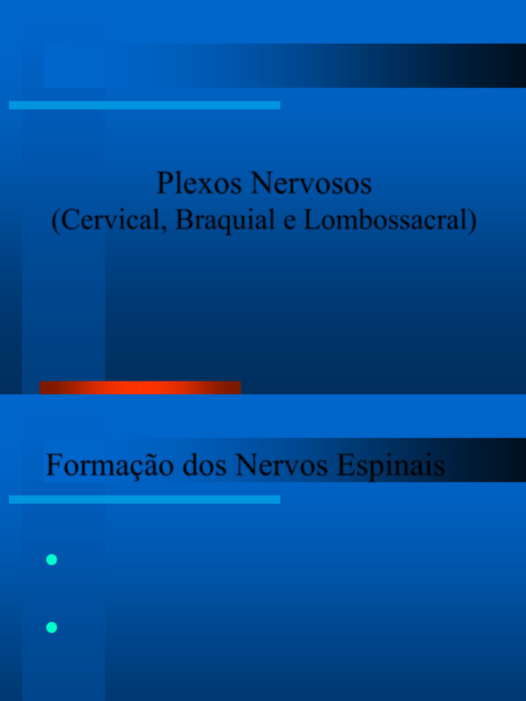 Plexos Nervosos - Plexo Braquial | PDF