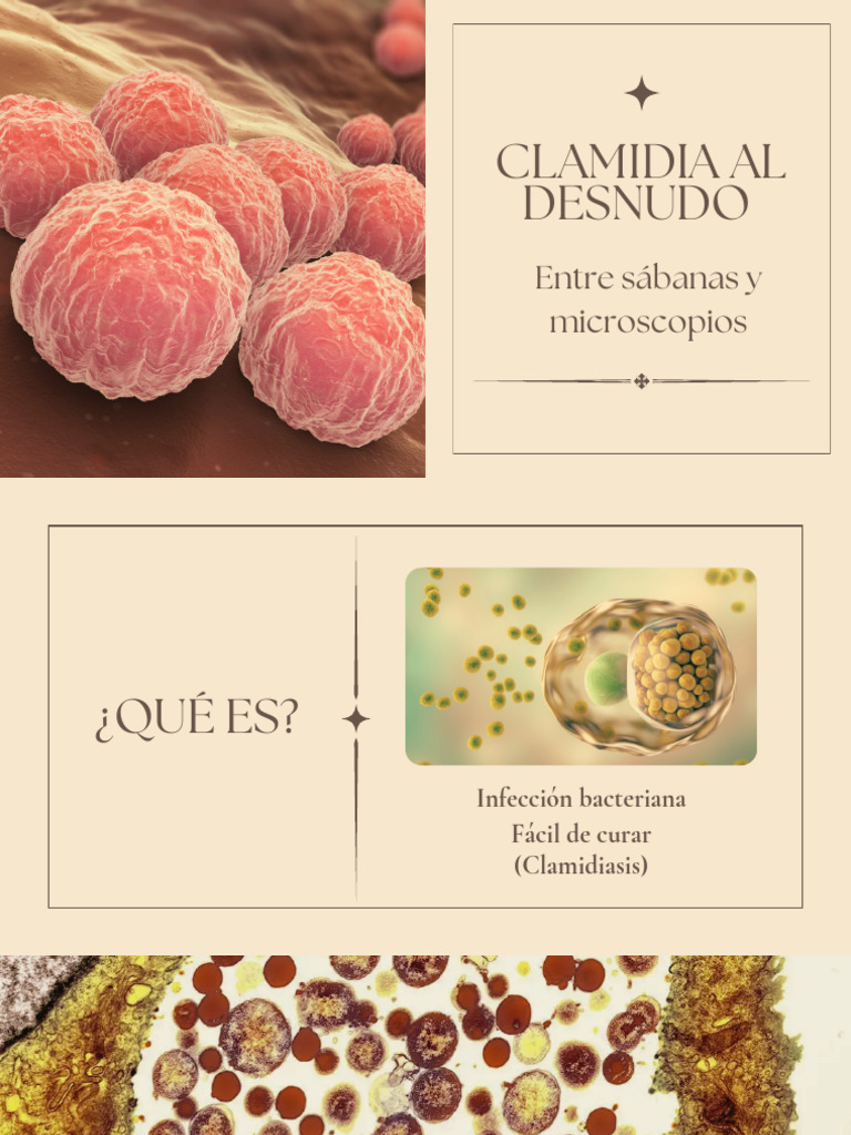 Clamidia: Síntomas y Prevención | PDF | Epidemiología | Especialidades ...