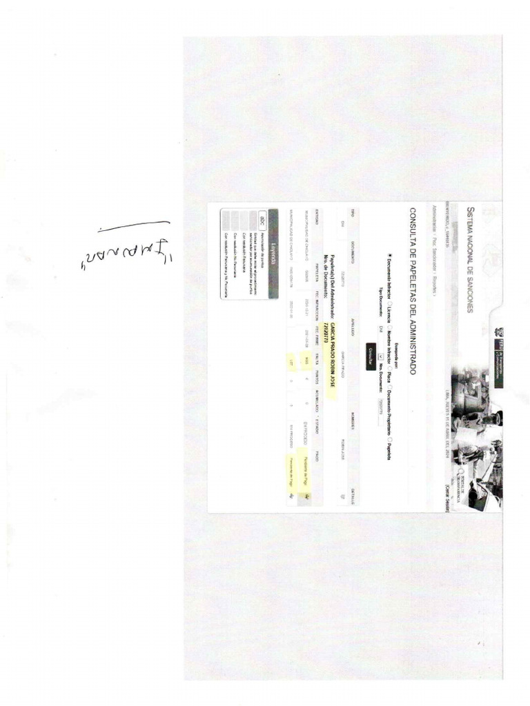 Reporte Papeletas Robin | PDF