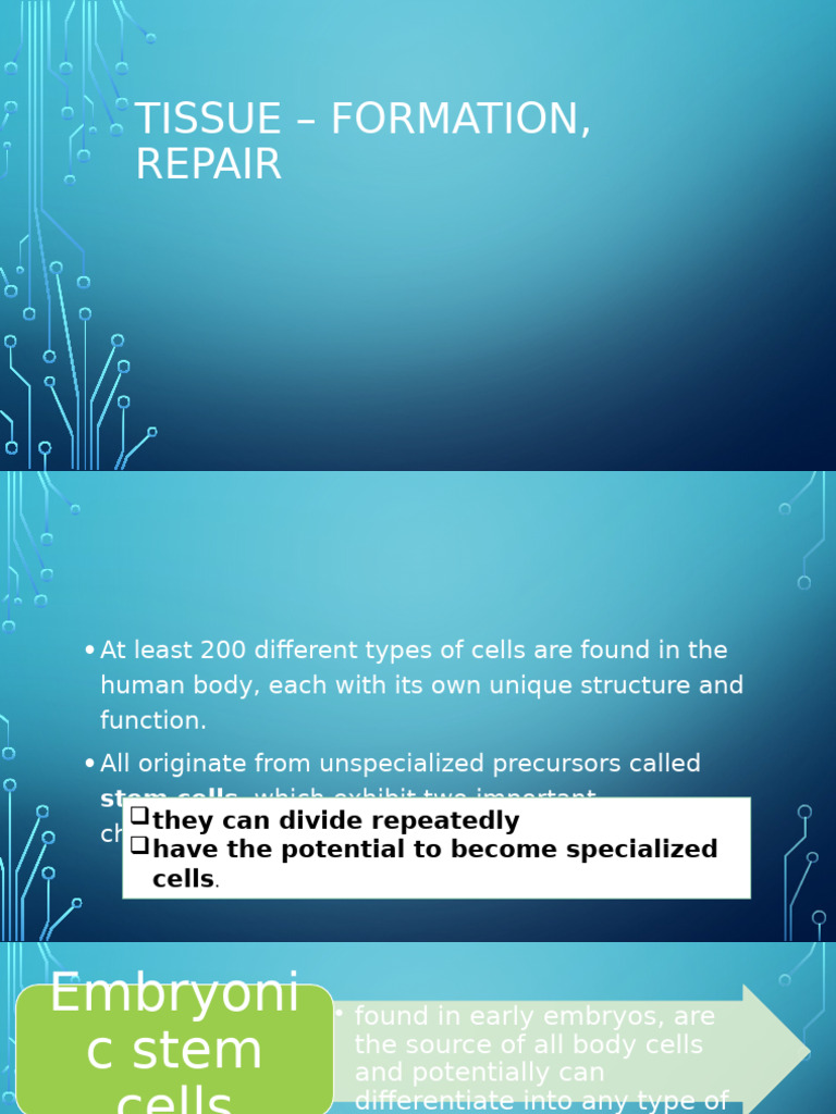 Tissue Formation and Repair in Nursing | PDF