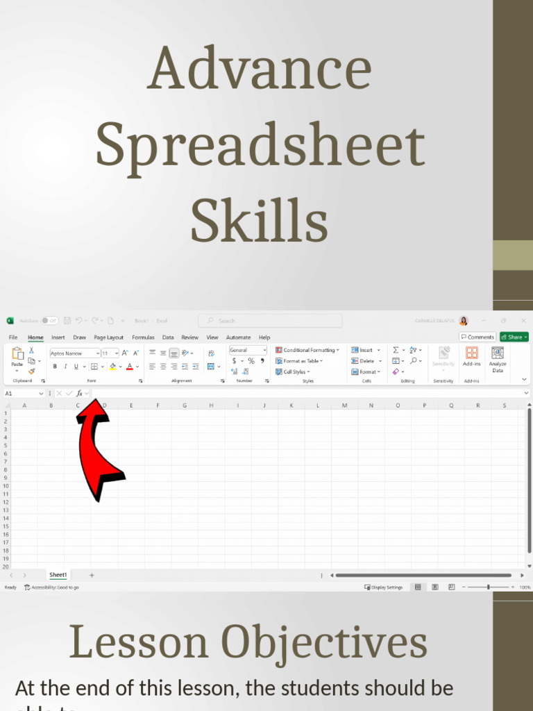 Lesson 4 - Advance Spreadsheet Skills | PDF