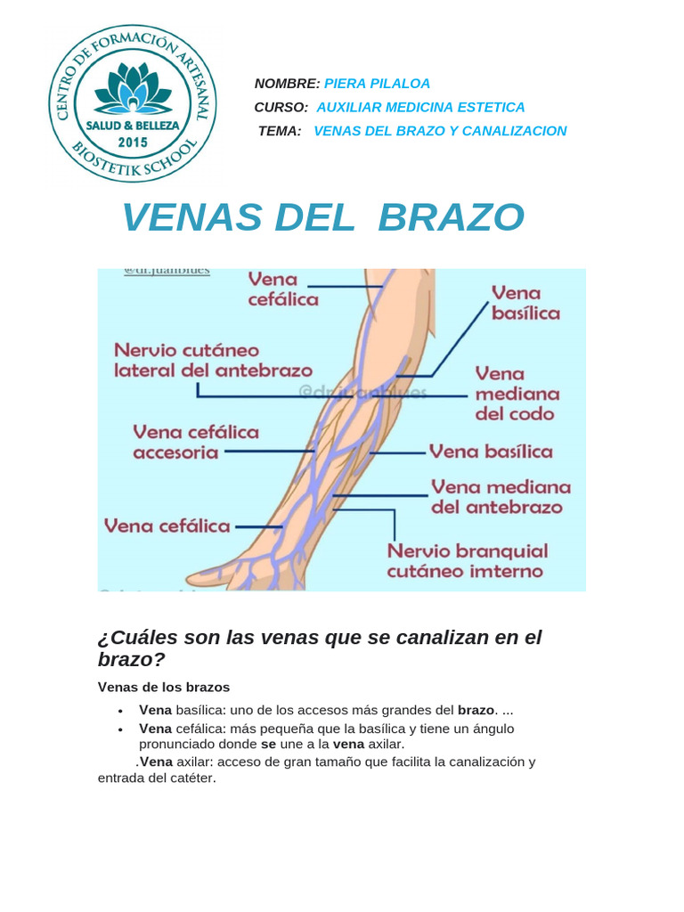 Venas de Brazo | PDF