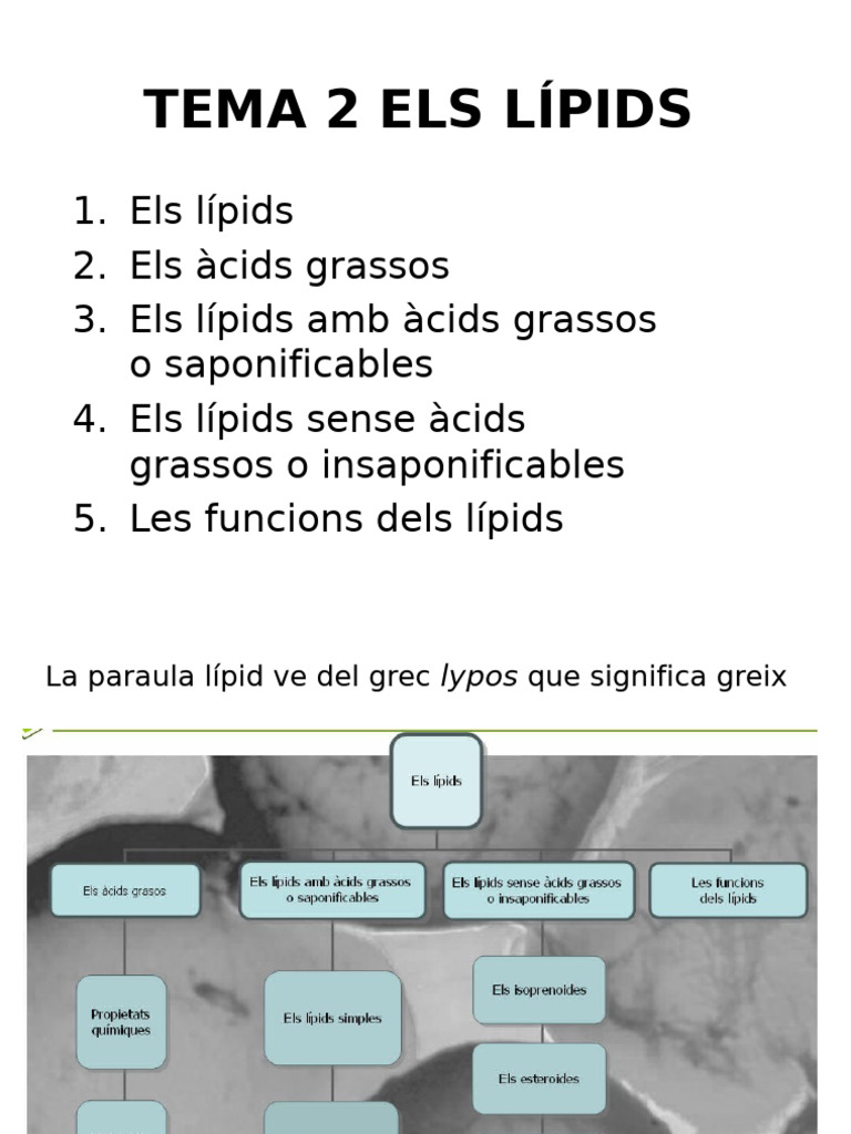 TEMA 2 Lipids 2324 | PDF