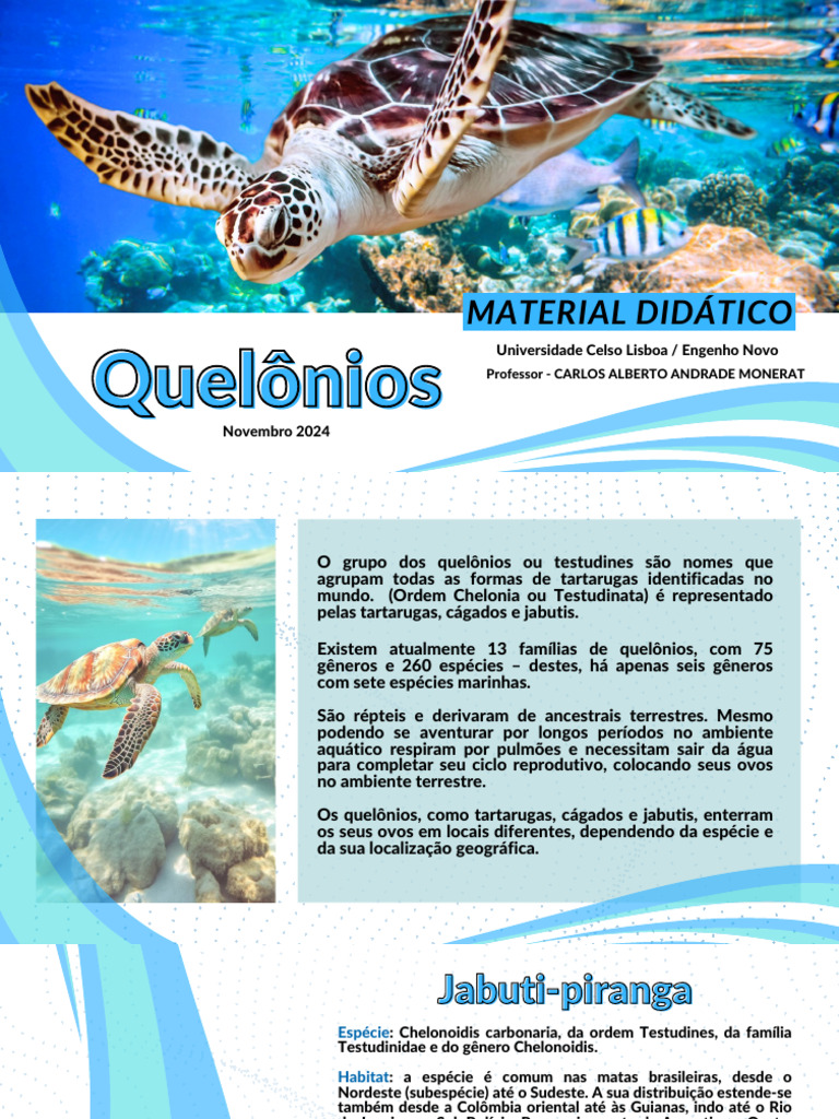 Quelônios _20241209_210323_0000 | PDF | Ovo | Tartaruga