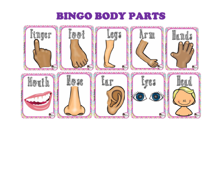 Bingo Body Parts Pdf