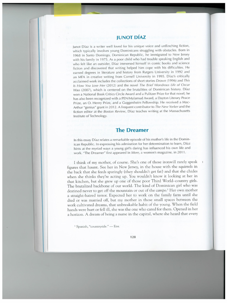 Reading Diaz Dreamer 1301 Junot DR | PDF