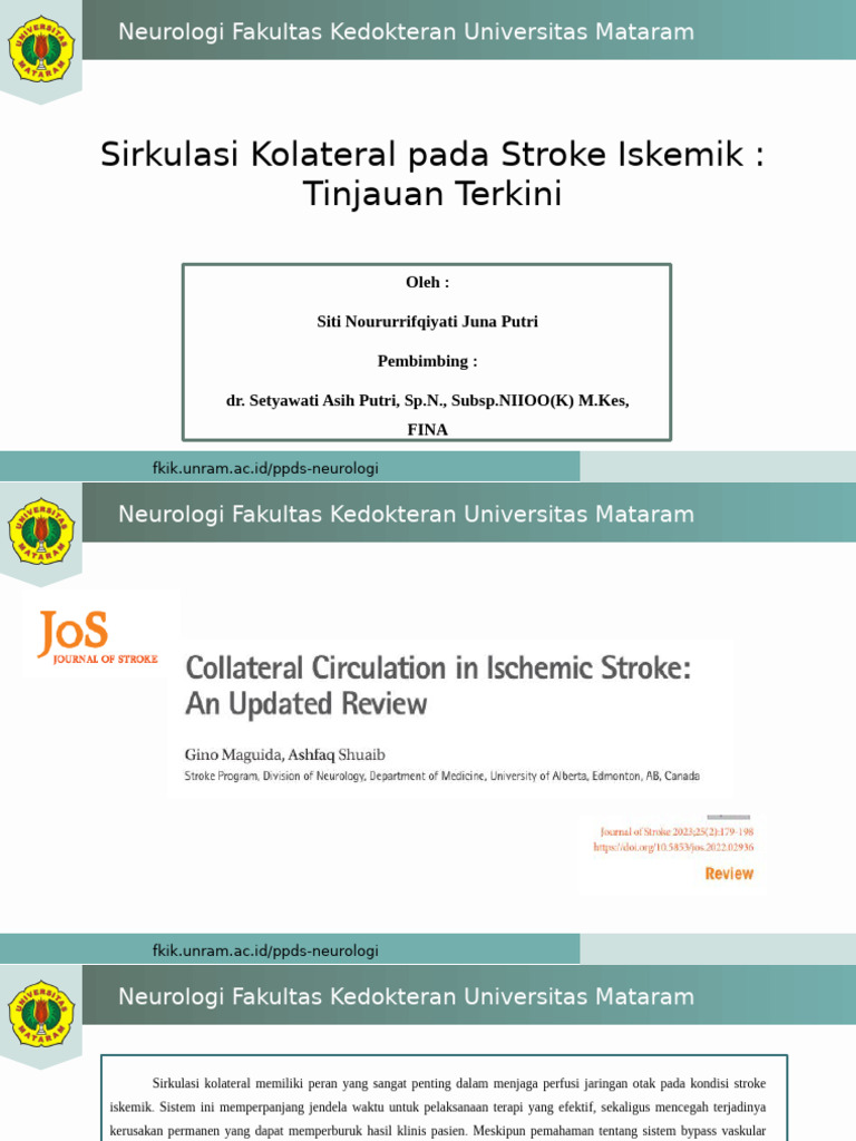 Sirkulasi Kolateral Pada Stroke Iskemik Tinjauan Terbaru | PDF