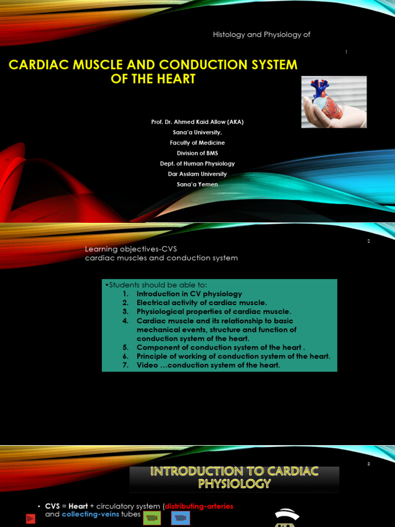 01AKA Cardiac Muscle and Conduction System of The Heart | PDF | Heart ...